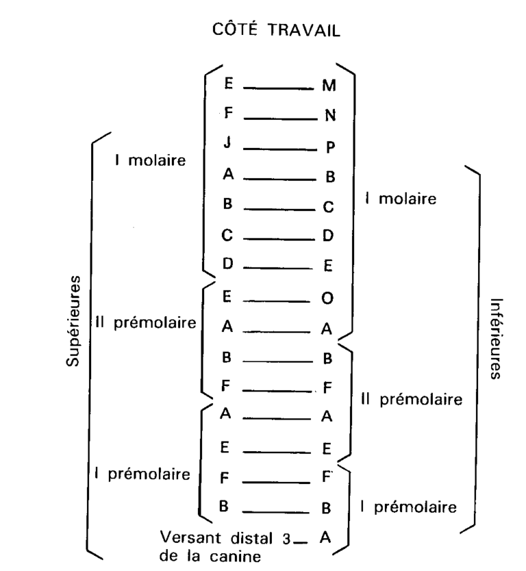 Réhabilitation neuro occlusive ou technique de Planas | eorthodontie